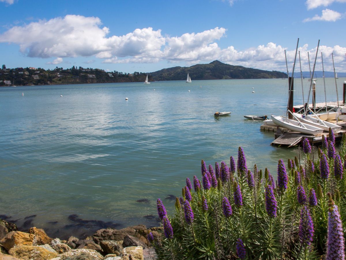 Best Things to Do in the North Bay This October - Local Getaways