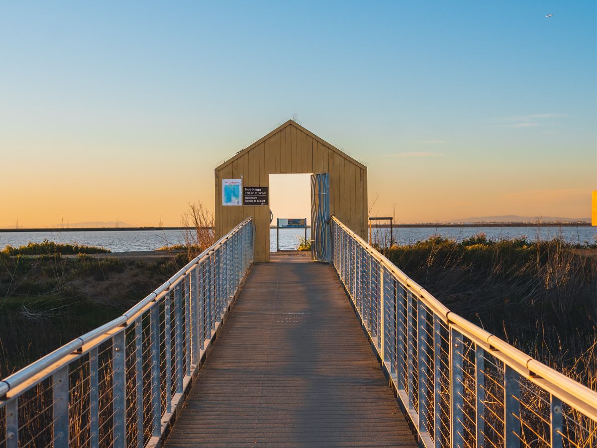 Best Things to Do in the South Bay This February - Local Getaways