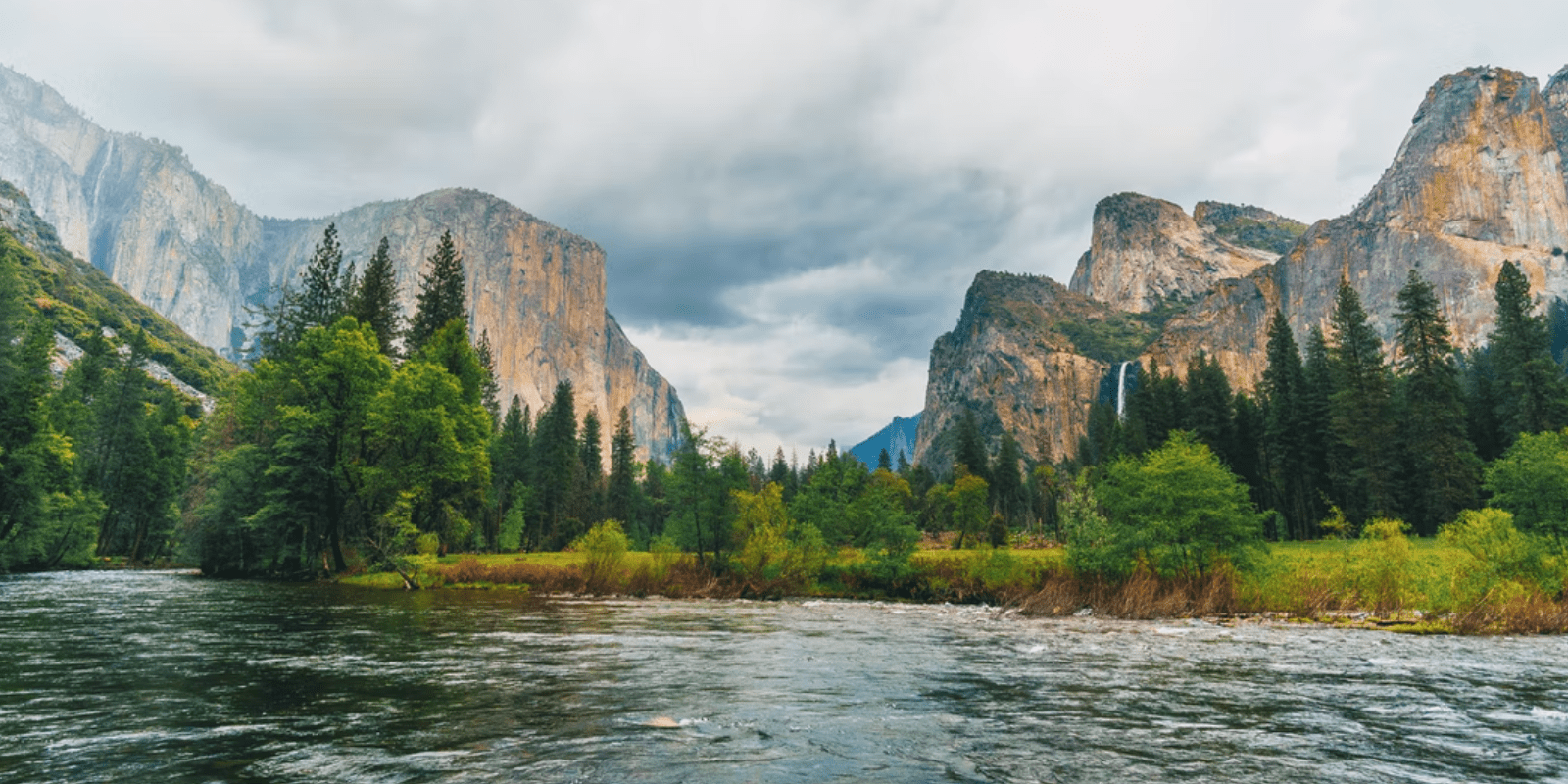 Yosemite National Park Superintendent Cicely Muldoon - Local Getaways