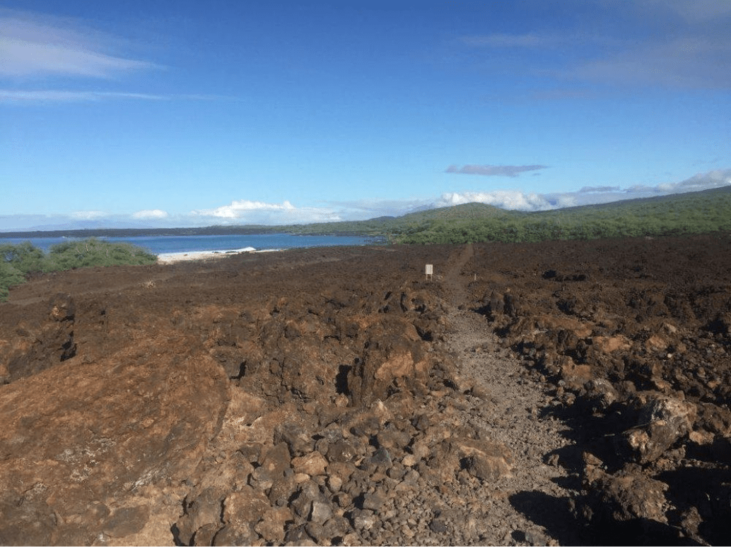 Hike from La Perouse (Keoneoio) Bay to Kanaio Beach on Maui - Local ...