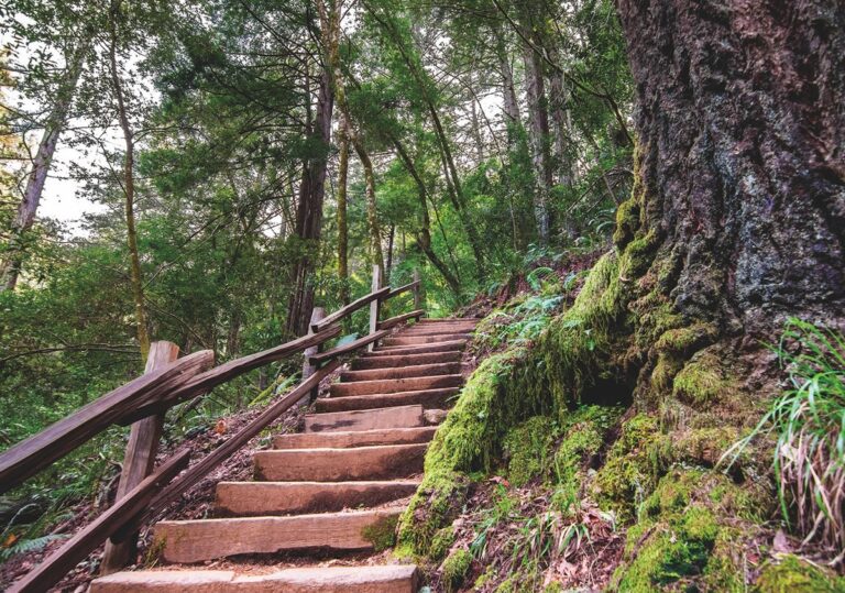 A New Year, Same Marin: Fresh Ways to Move, Breathe, and Thrive - Local ...